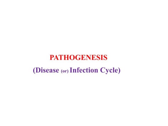 Pathogenesis | DOCX | Gardening | Home & Garden