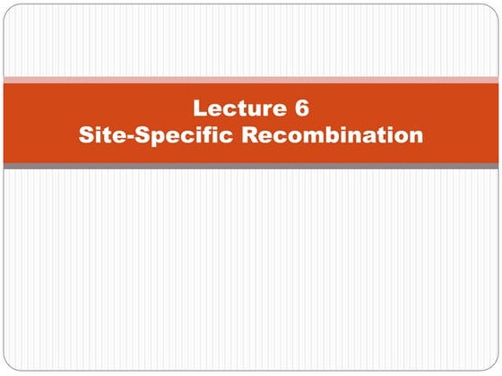 Holliday Model of DNA Recombination | PPT