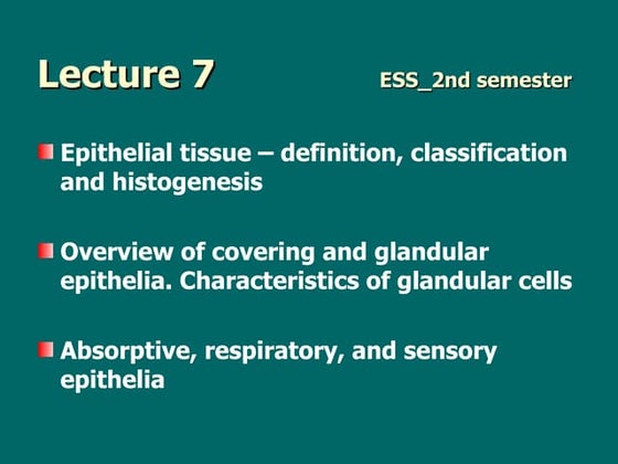 obelia.ppt TYPE STUDY OF OBELIA STRUCTURE AND PHYSIOLOGY | PPT