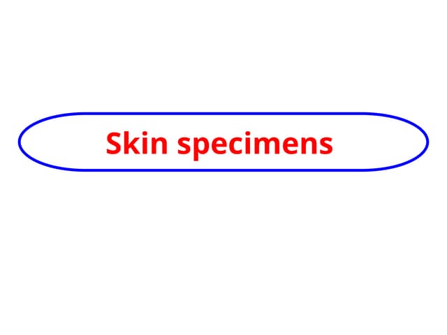 Slit skin smears | PPTX