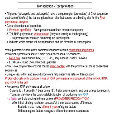 Lecture 7 (biol3600) genetic code and translation | PPT