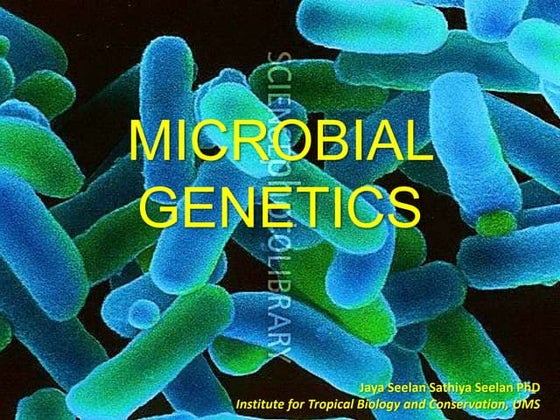 introduction to microbial genetics | PPT