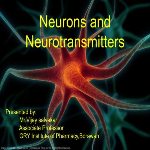 Neurons | PPT