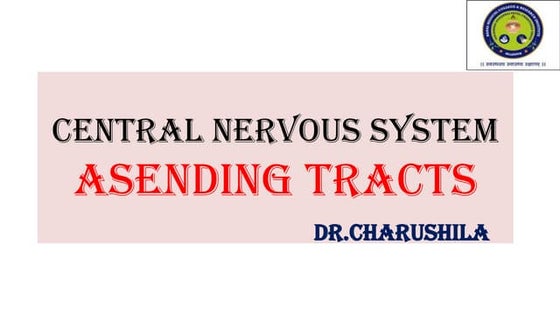 1. NM - Neuron structure | PDF