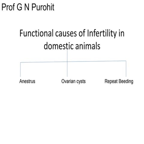 Estrus Cycle and Ovulation in cattle | PPTX