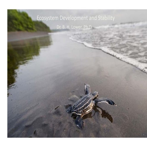 Lecture 8 ecosystem development | PDF