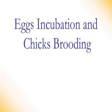Lecture 8 (eggs incubation and chicks brooding) | PPTX