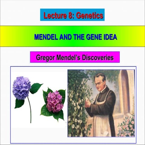 Mendel laws of inheritance, segregation, independent assortment.ppt