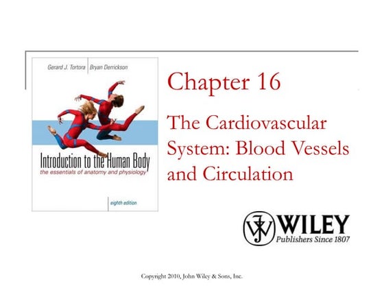 Medical Terminology Part 1; Prefixes, Suffixes, Combining Forms | PDF