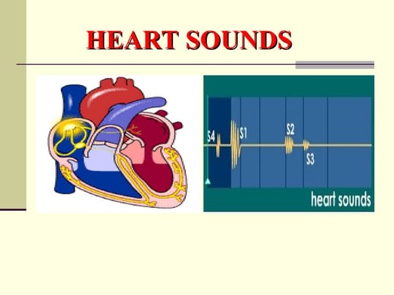 Heart_Valves_and_Heart_Sounds_Presentation.pptx
