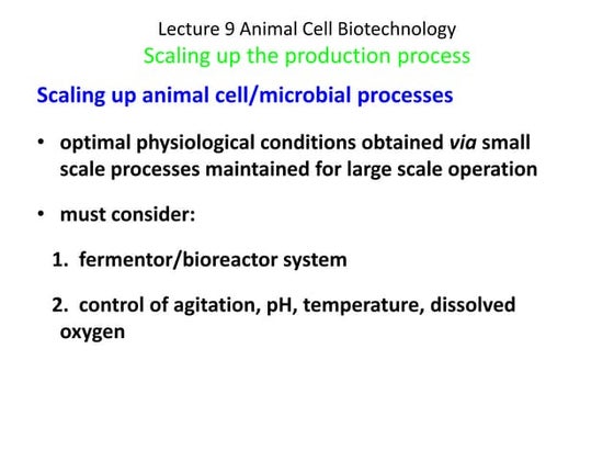 Lecture 91c Scaling Up Pdf