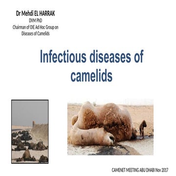 Lecture#9 Infectious diseases of camelids.pptx