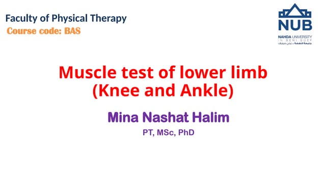 MMT for knee | PPTX