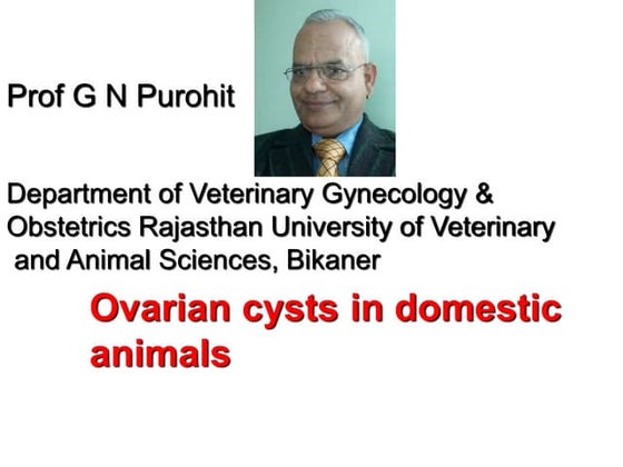 Dog vaginal cytology by Dr.mehdi moradi | PPT