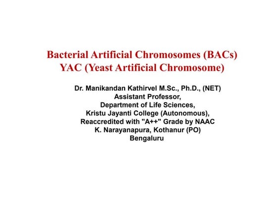 Bacterial Artificial Chromosome And Yeast Artificial Chromosome Ppt
