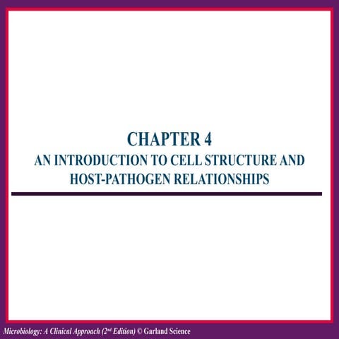 Ch 4 Cell Structure | PPT