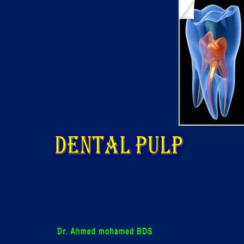 lecture four dental pulp.pptx Oral histology | PPTX | Dental Health ...