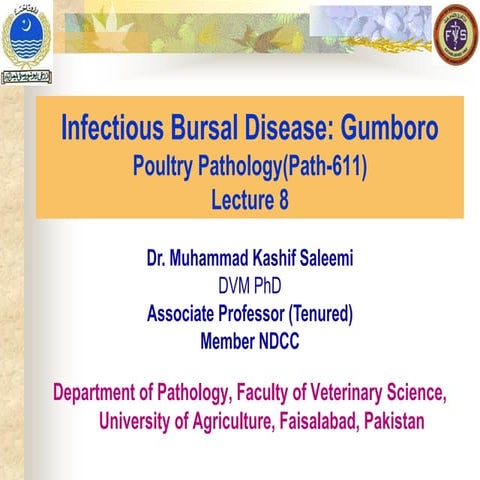 Lecture1 IBD Infectious Bursal Disease | PDF
