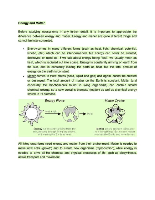 IB Biology 4.1-4.2 Slides: Ecosystems & Energy Flow | PPTX