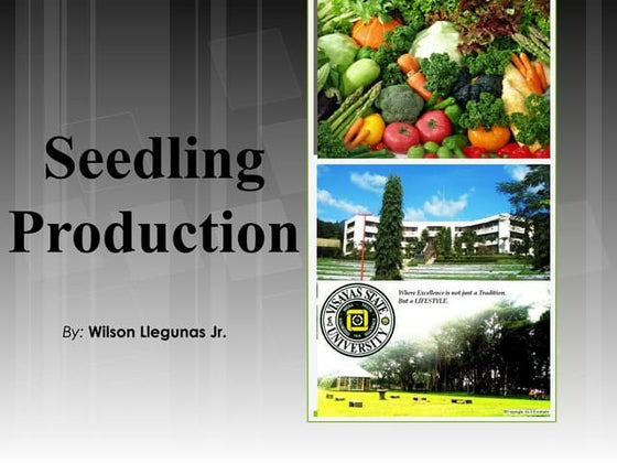 Vegetable production presentation | PPT