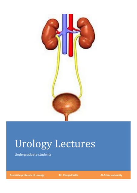 Urology | PPT