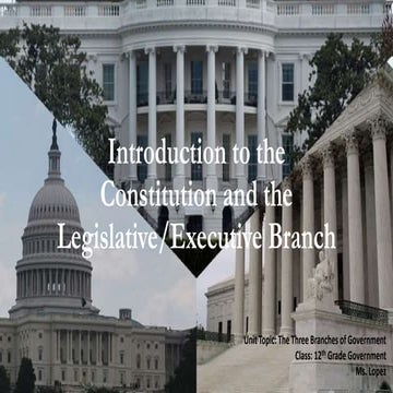 Lecture Lesson: Legislative and Executive Branch | PPTX
