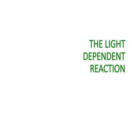 Light reaction of photosynthesis | PPTX