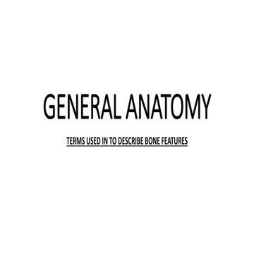 LECTUREMONDAY.pptx | Death, Injury, or Military Conflict | Sensitive Topics