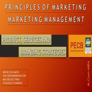 Business Studies Project Marketing Management Class 12 CBSE | PDF