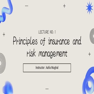 LECTURE NO 1.pdf insurance BBA studentsh | PDF