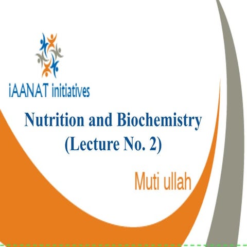 Comprehensive Overview of Proteins: Structure, Function, and Health ...