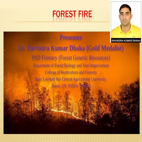 Lecture note on forest fire | PDF