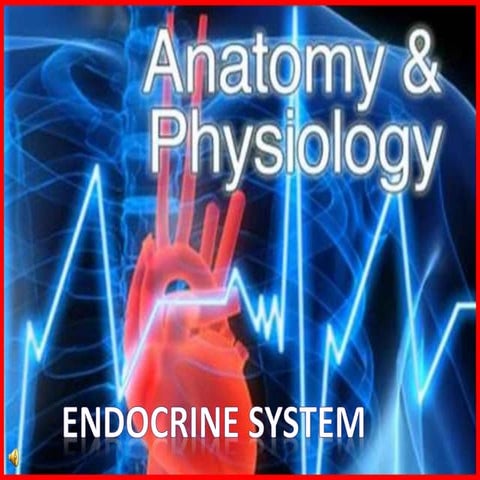 Lecture Notes Endocrine Systemppt