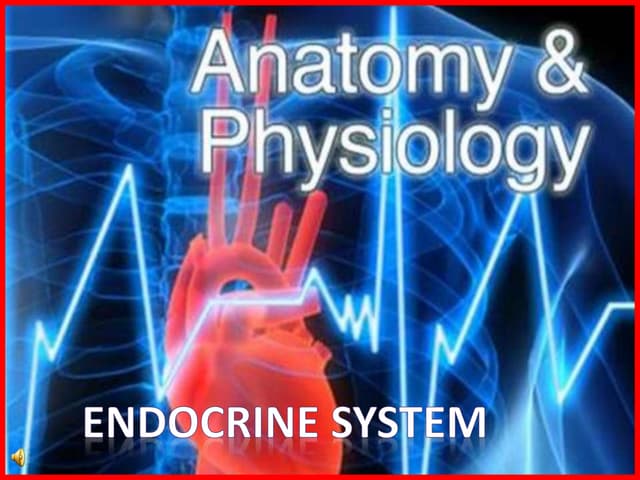 Lecture Notes Endocrine Systemppt