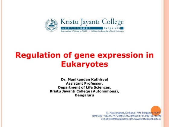 The Structure And Function Of Genes Ppt