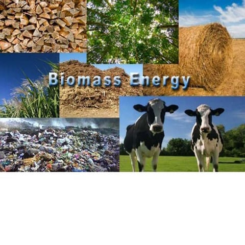 Lecture on biomass energy.pptx