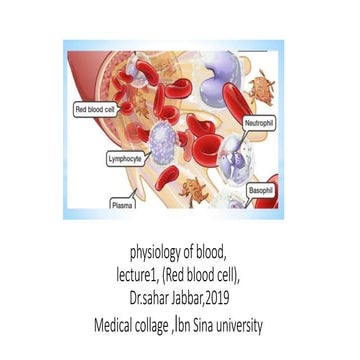 Week6 RBC:an explanation on the process of RBC formation | PPTX