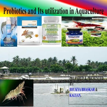 Lecture ppt by bhukya bhaskar probiotic ug class | PDF