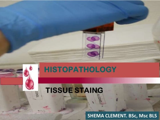 Histopathology staining method | PPT