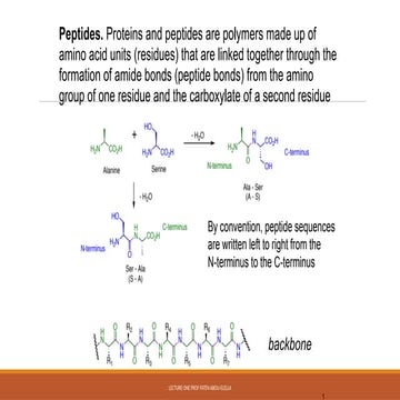 lecture s 1,2.pptx....................؟... | PPT | Free Download