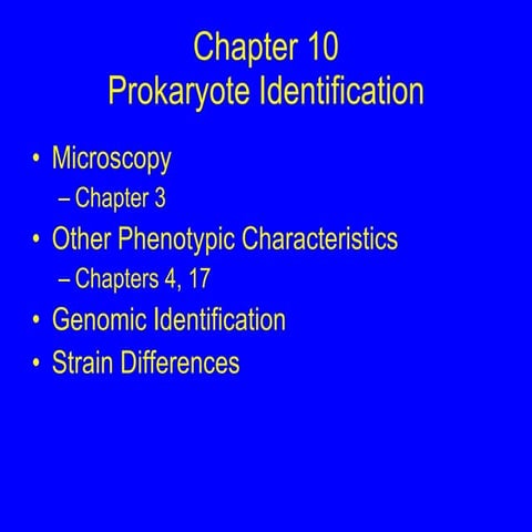 Bacterial Identification.ppt