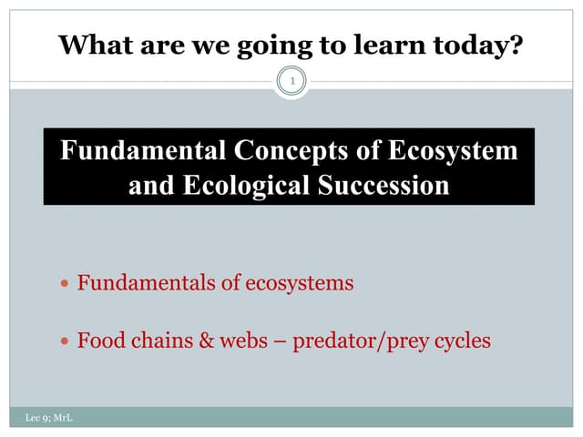 Road Traffic Accident (RTA) | PPT | Injuries | Diseases and Conditions