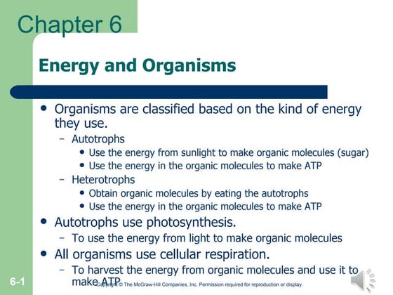 Cellular Respiration | PPT