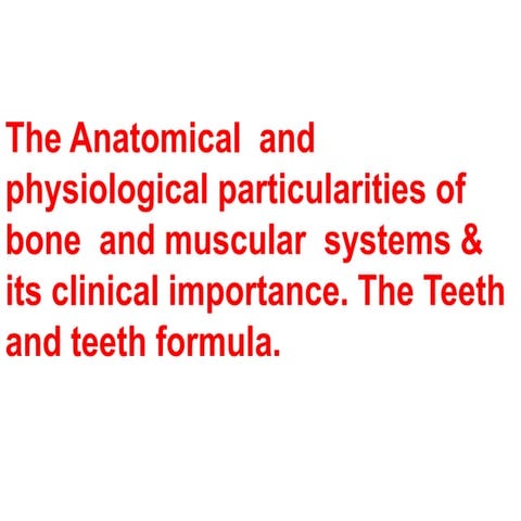 ,lecture skeletal.ppt