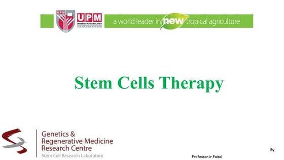 stem cell.pptx fsa bhkkoocwawwer stem cell ppt xzksiwoowowo | PPT