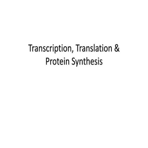 lecture_transcription and translation.pdf