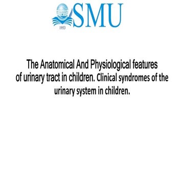 Lecture Urinary System Pptx