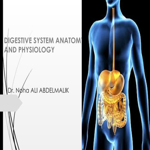 Lecture of anatomy of Digestive System.pptx