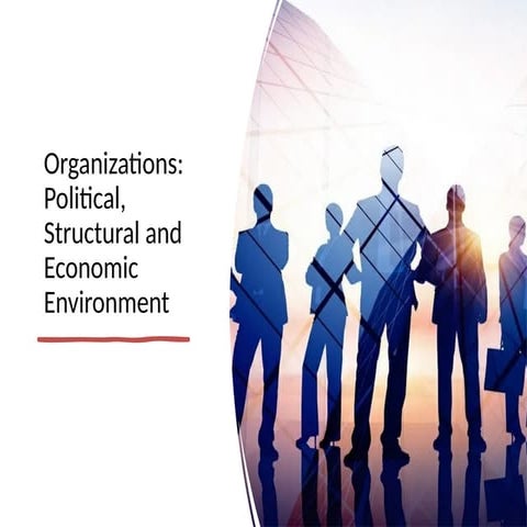 LECTURE_Week 5_Organizations- Political, Structural and Economic ...