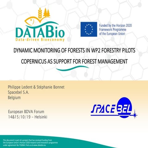 Forestry Pilot | PPT